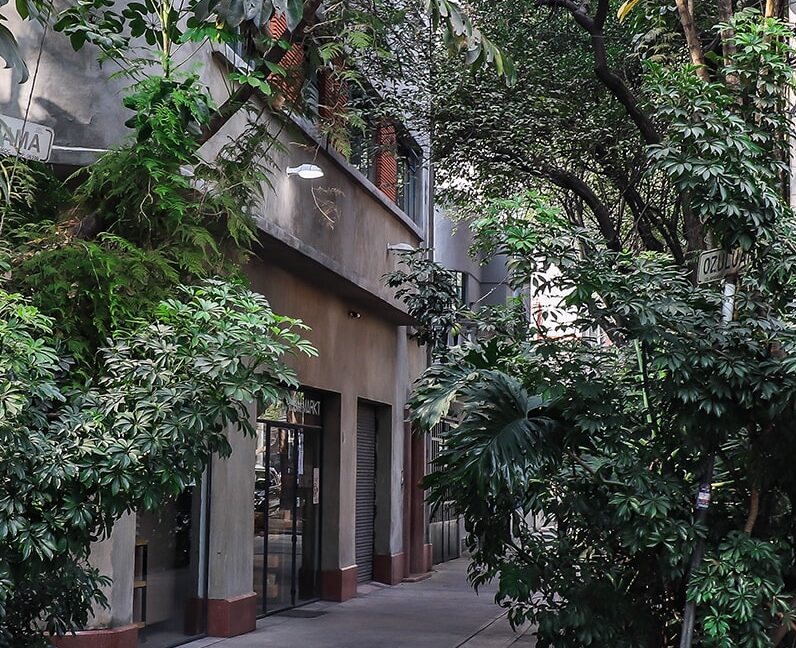 The best hotels, restaurants and shops in Condesa, Mexico City