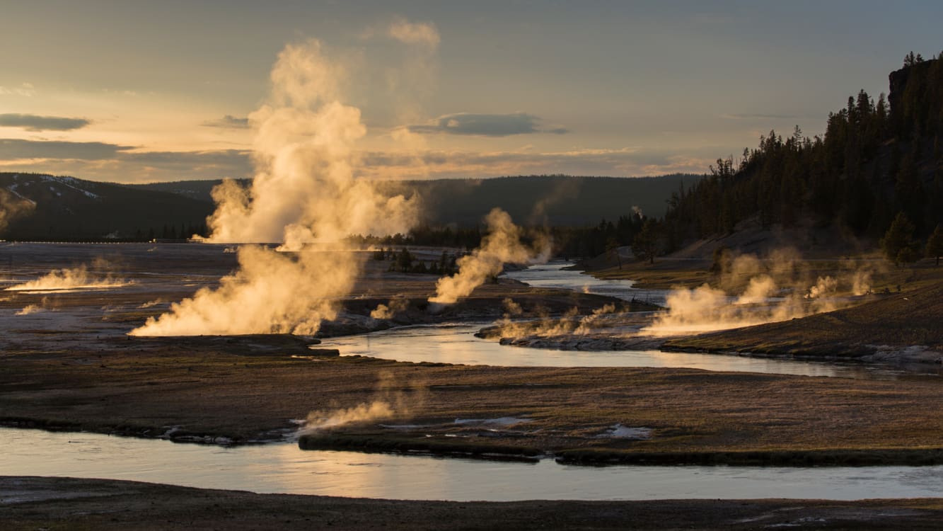 The best rewilding projects in the world to visit | ROADBOOK